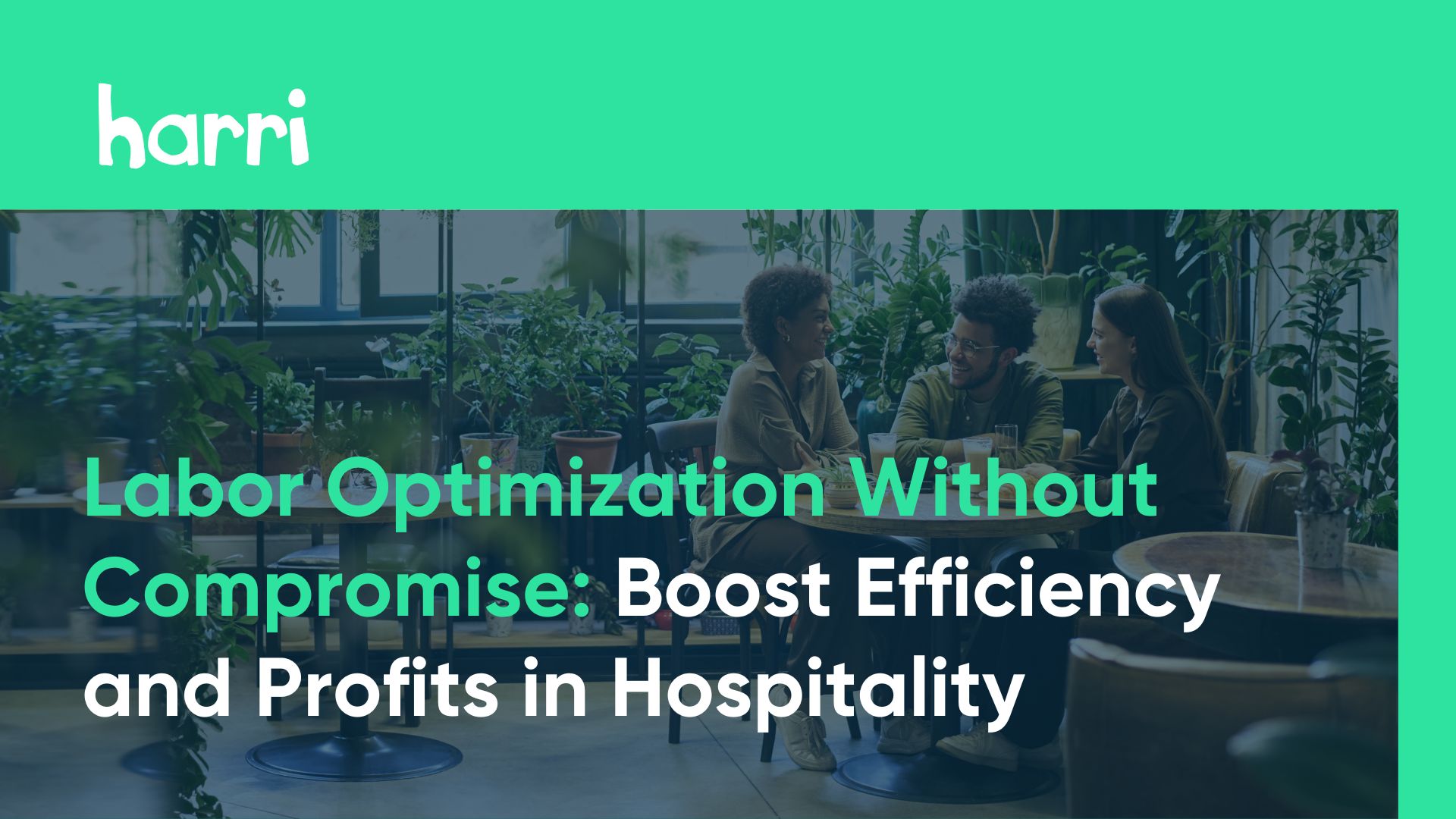 How to Boost Efficiency and Profits in Hospitality | Harri Insights